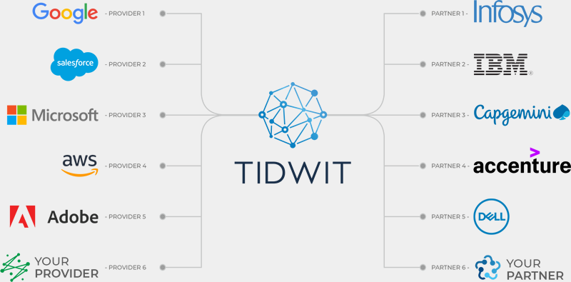 TIDWIT - Plataforma de habilitación de ecosistemas digitales